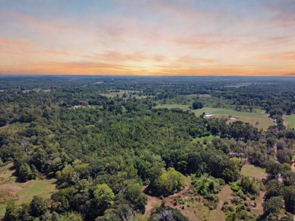 4354 Cheeseland Road, Pollok, TX 75969 - SOLD LISTING